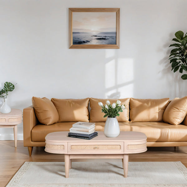 Franch Collection Cane 1 Drawer Coffee Table – Indian Hub